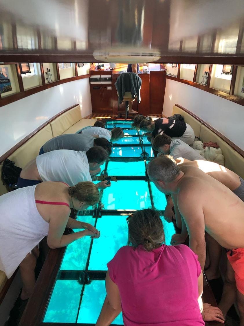 3 hours Glass bottom trip by boat 30jd - Aqaba Sharks Bay Divers
